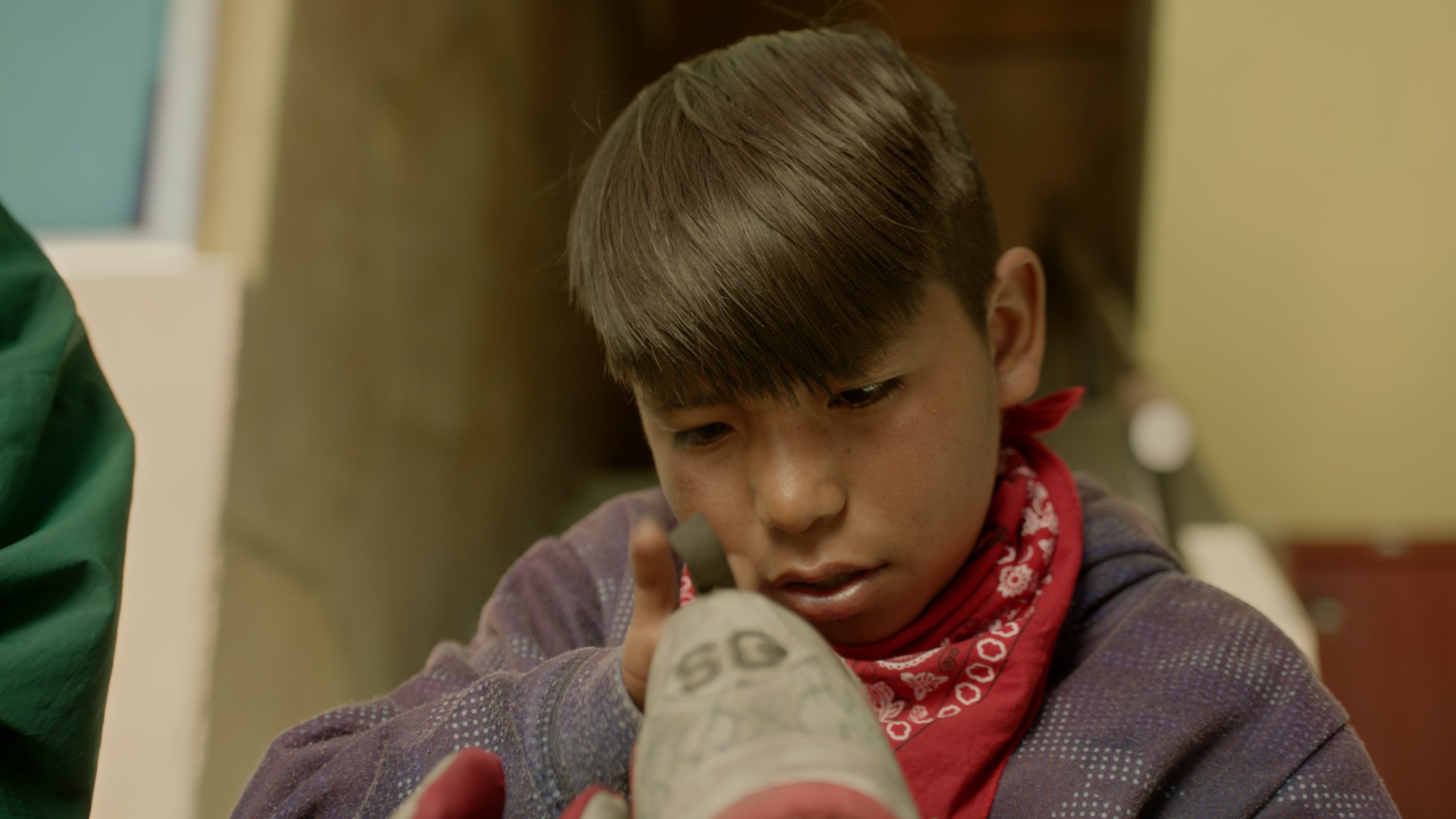 Modesto - LANDIA Mexico