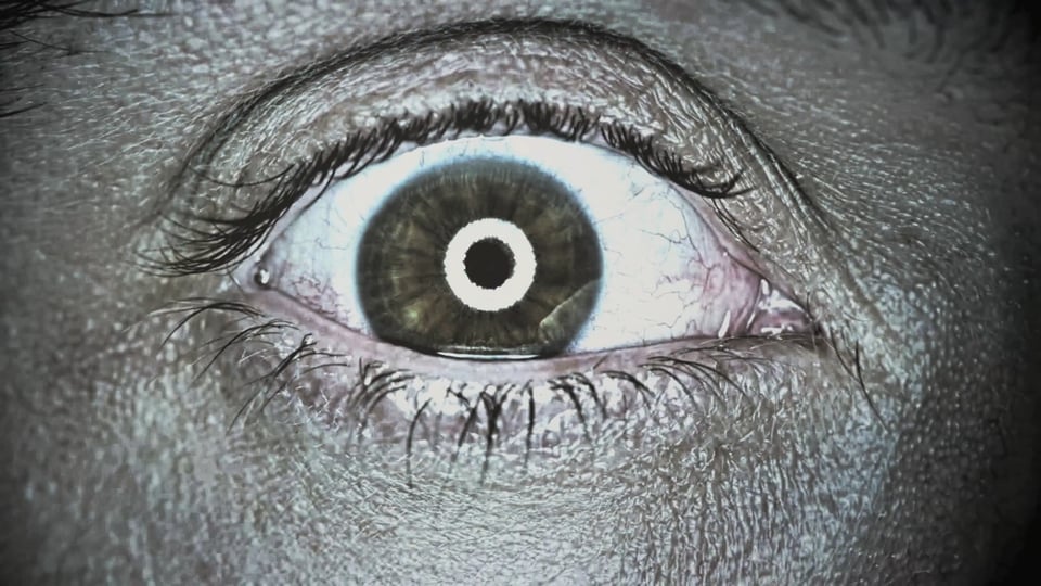 Hemophobia – LANDIA